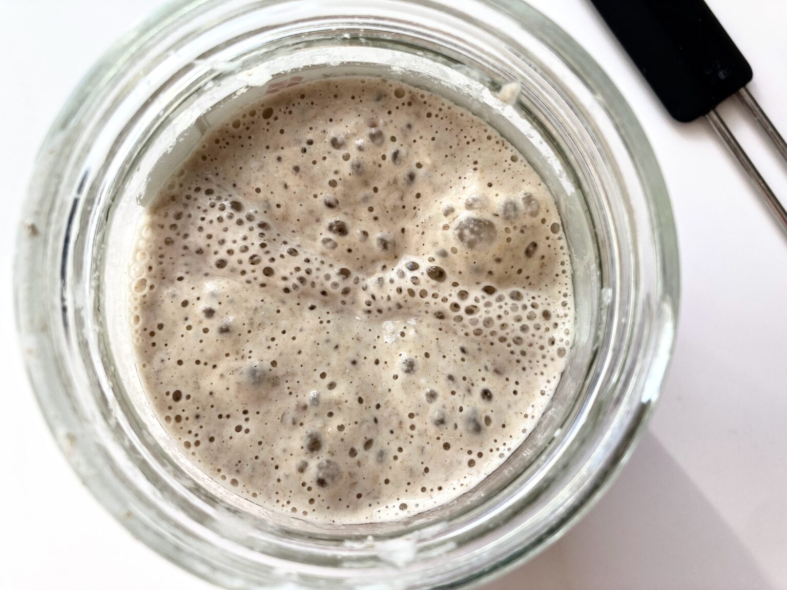 Guide: Sådan laver du din egen surdej - Surdejsentusiasten