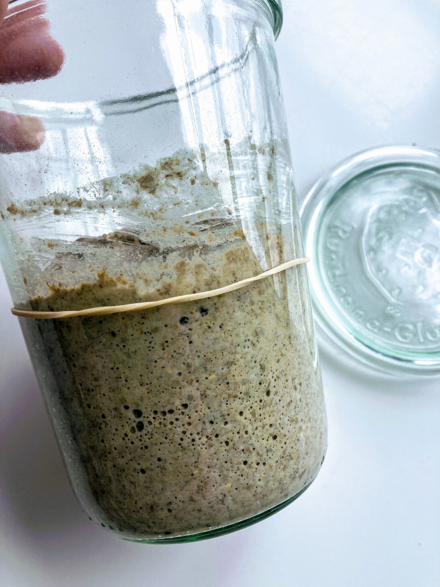 Guide: Sådan laver du din egen surdej - Surdejsentusiasten